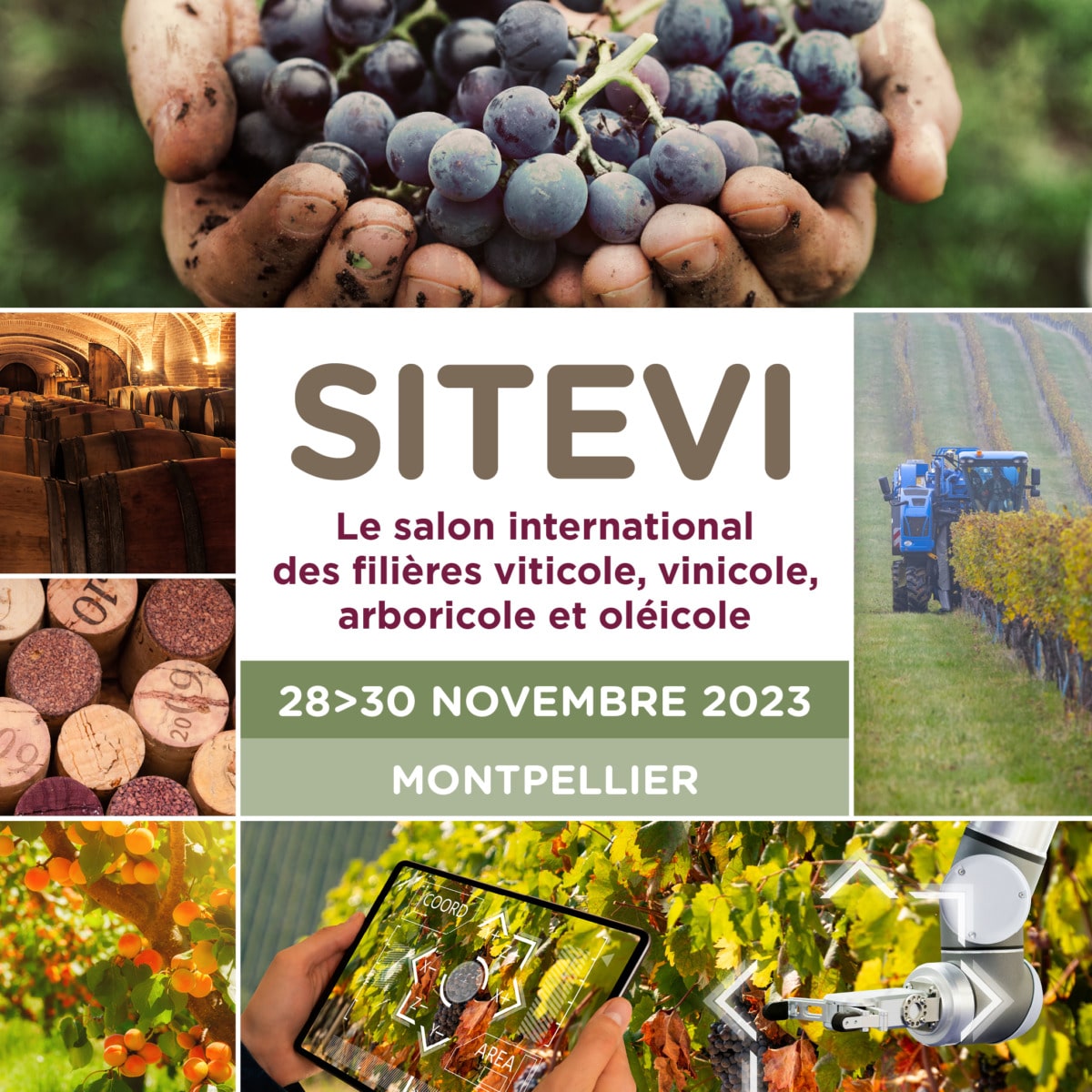 SITEVI - Parc expo Montpellier